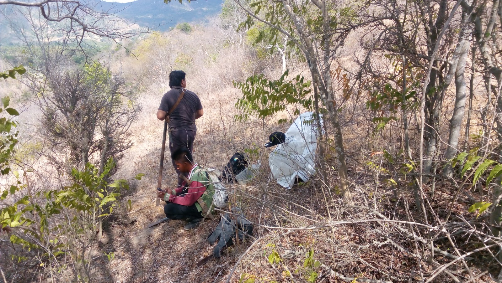Pinoy Bonsai: Bonsai Hunting In Oriental Mindoro Philippines