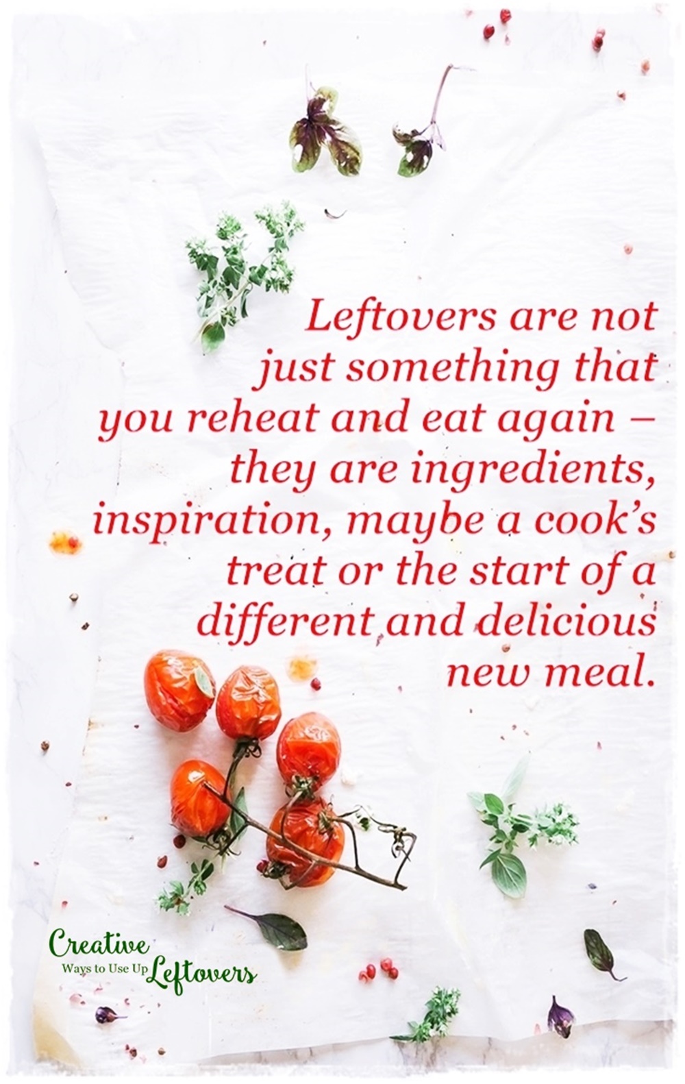 Sudden Lunch! ~ Suzy Bowler: 219 (and then some!) Brilliant Ideas for ...