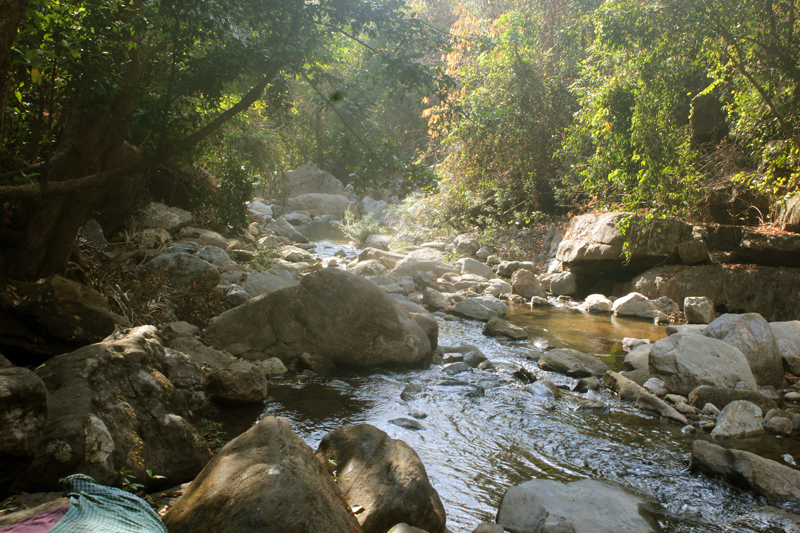 Kerala Hills: MeenVallam waterfalls