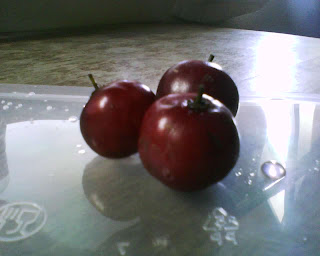 Baitul Khair: Buah Rukam