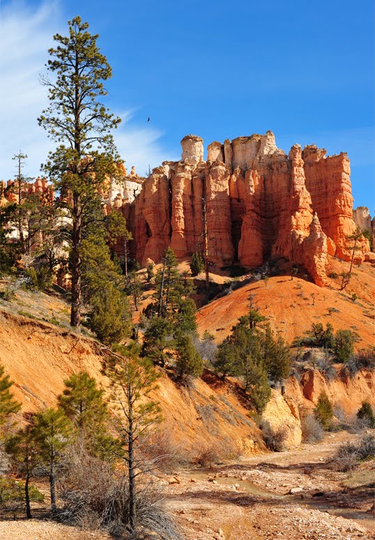 OMOREAN PHOTOGRAPHY: Red Canyon - Utah