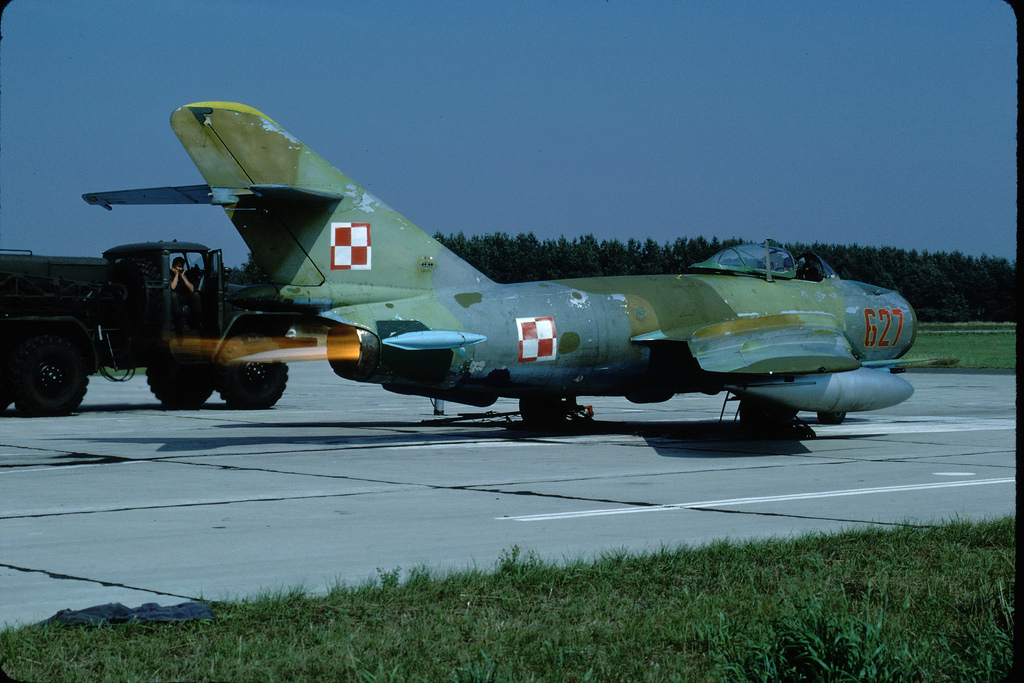 Polska aleja LiM-ów