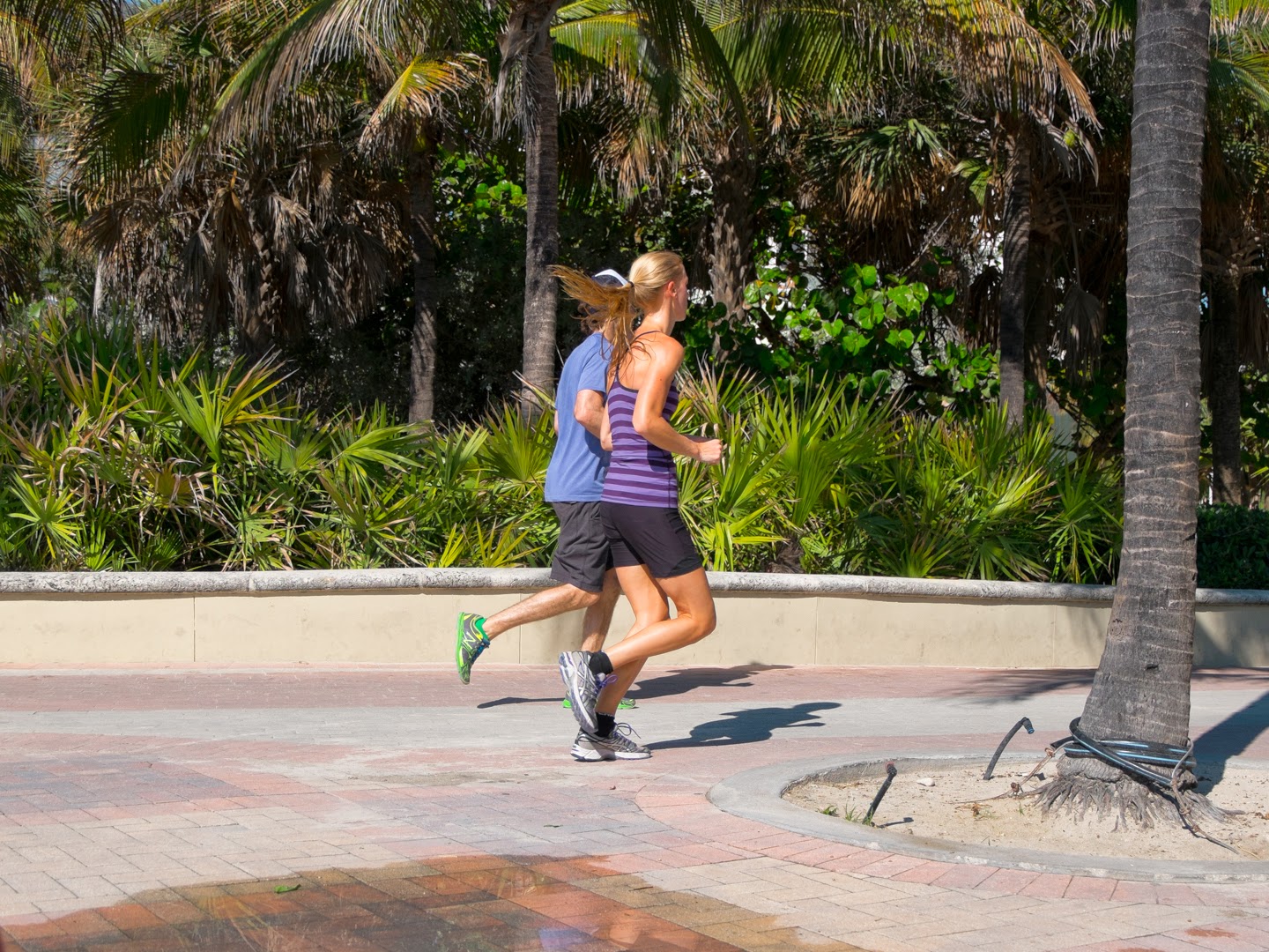 Hello Talalay: Getting Your Run In, In Miami Beach