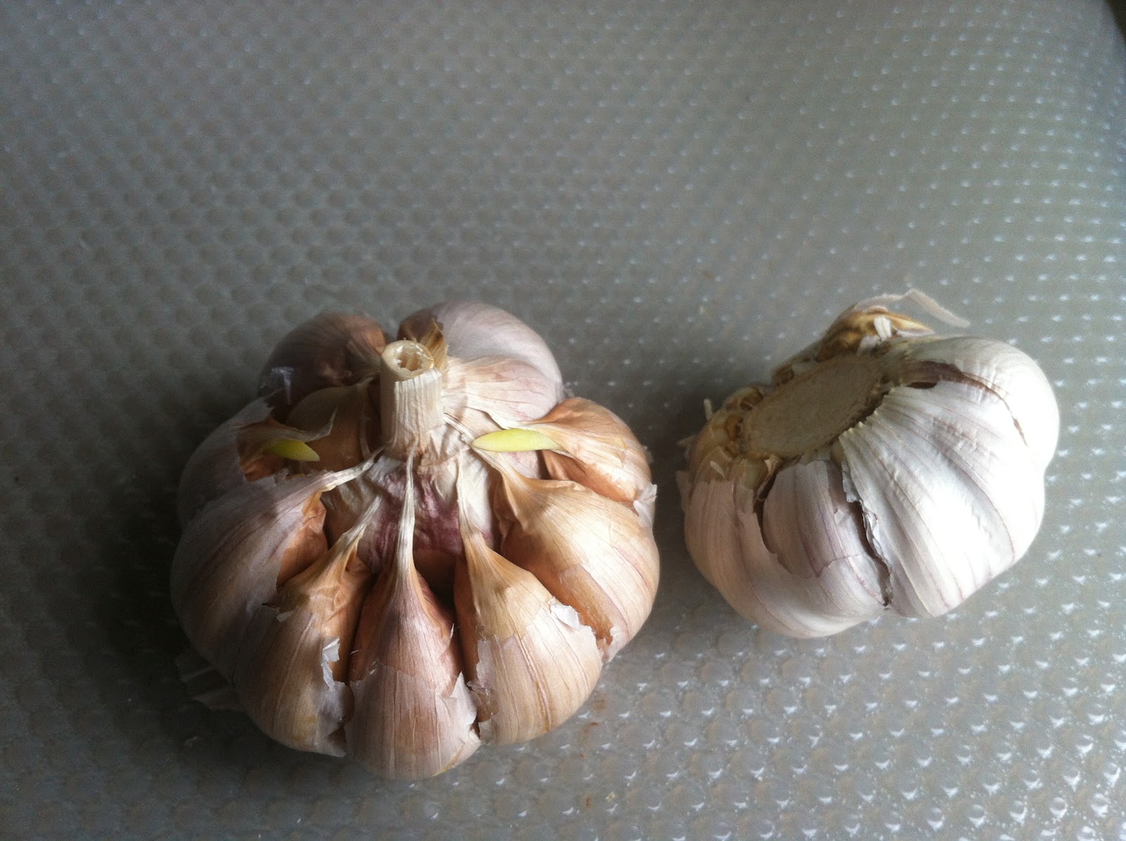 Beginners Kitchen: Spice up