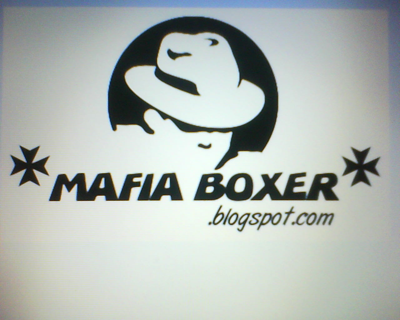 Mafia Boxer: Logo do grupo
