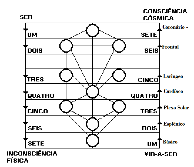 Acupuntura e Yoga : Correspondência entre a Cabala e os Chakras