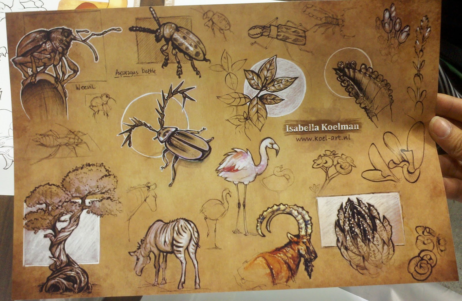 Gina Draws . . .: Dynamic Sketching Wrap-Up