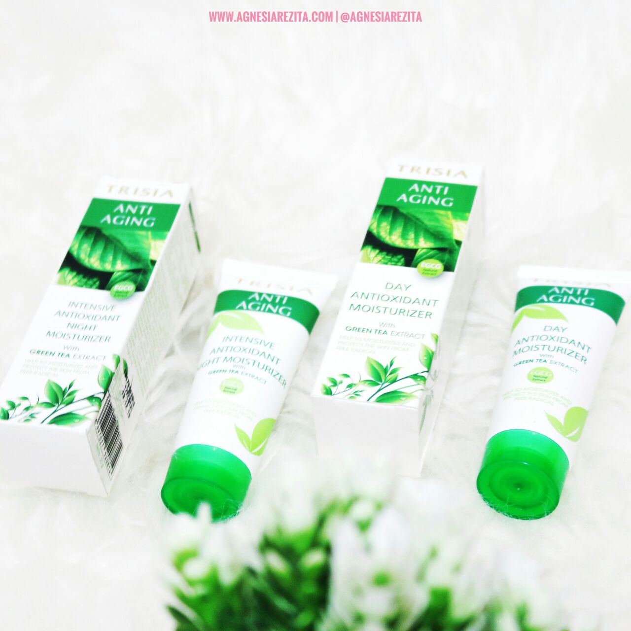 Trisia Cosmetics: Age Re-New Series & Acne Facial Foam [Review ...