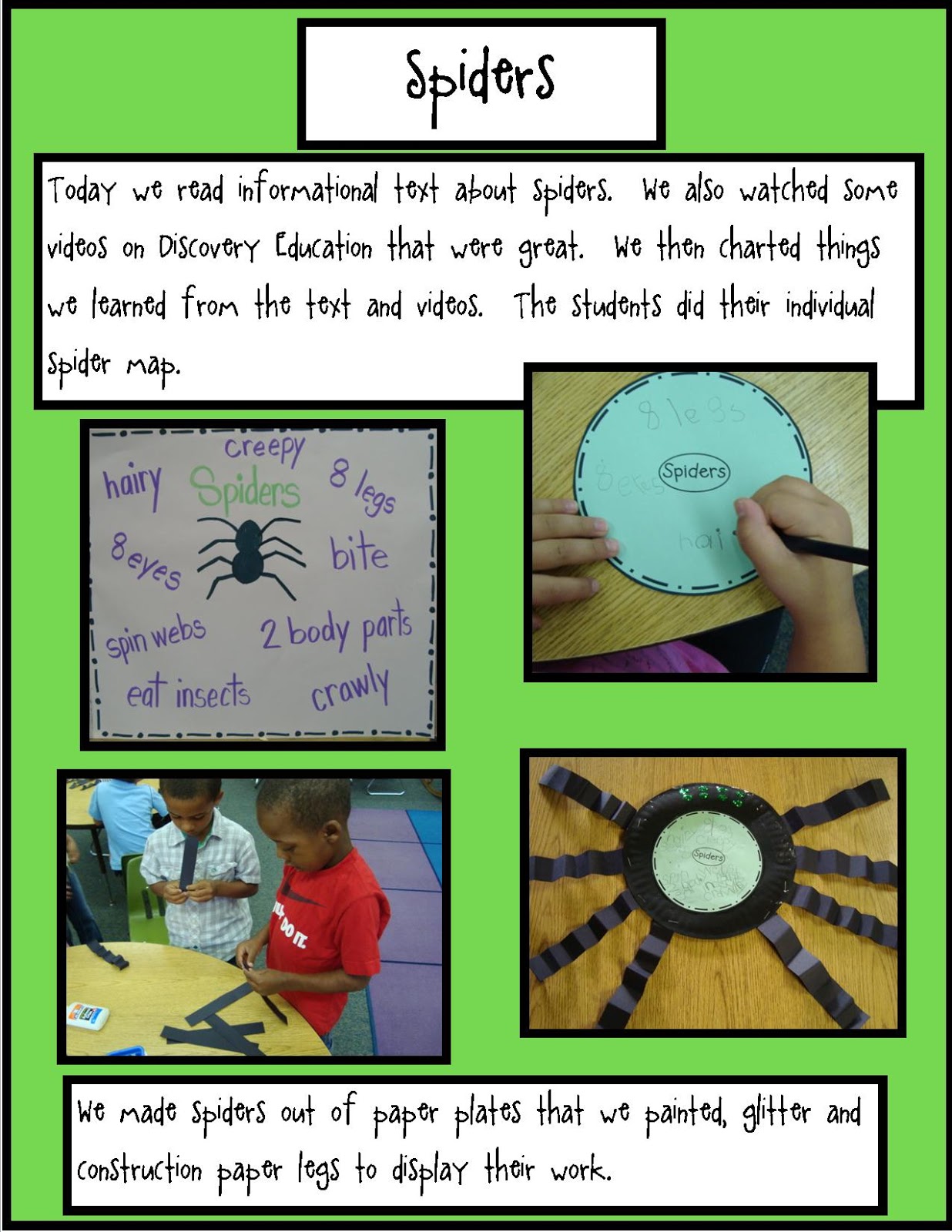 Golden Gang Kindergarten: Day 2 With Spiders