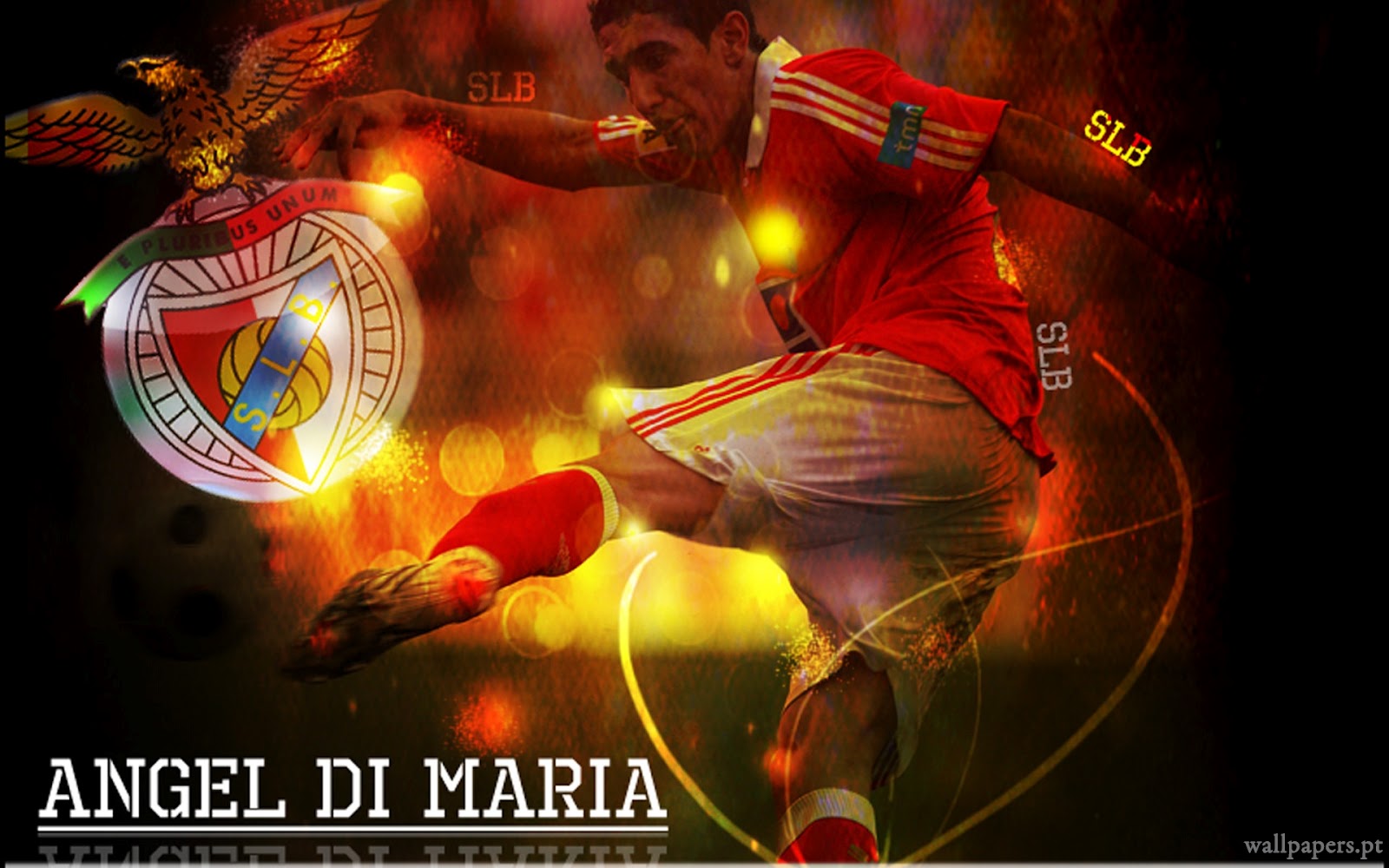 World Sports Hd Wallpapers: Real Madrid Angel Di Maria Hd Wallpapers