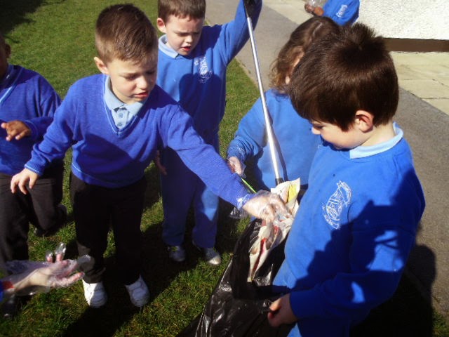 Science Projects: Litter picking