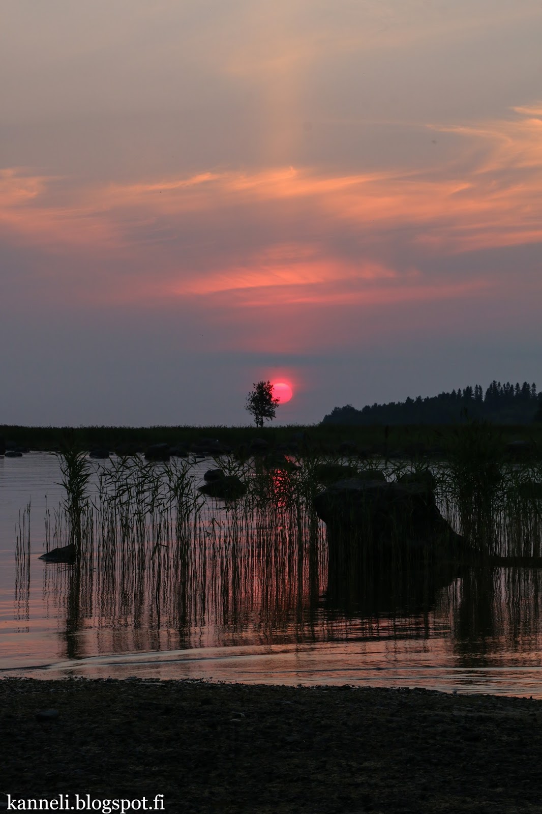 Kanneli: Elokuun terveisiä