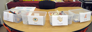 Exploring Science!: 5 Senses Investigation Box
