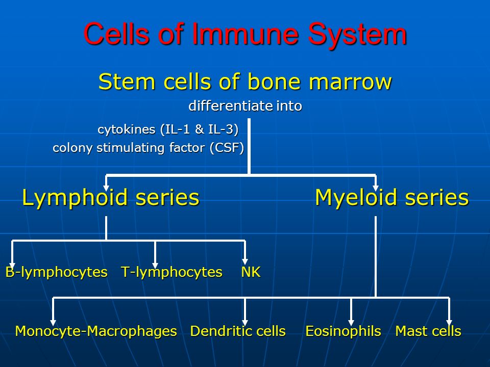 Basic Components of the Immune System