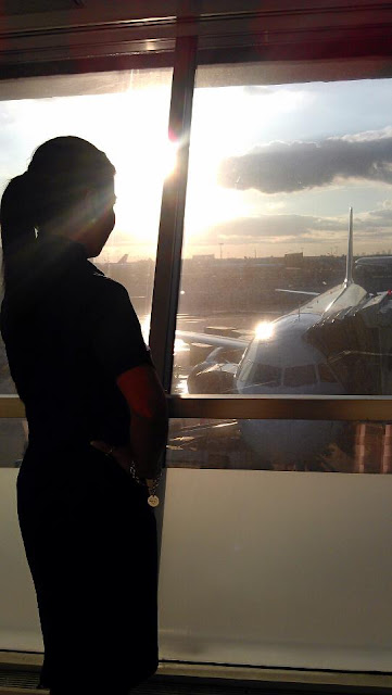 From Private to Professional Pilot: Share Your Story: The Life of ...