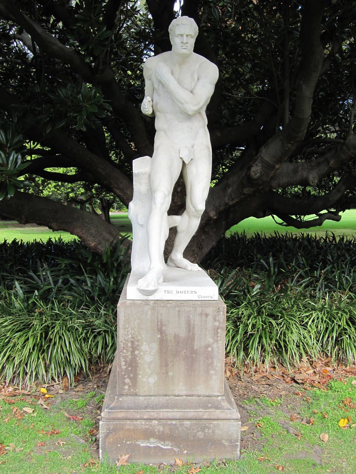 Sydney - City and Suburbs: Botanic Gardens, The Boxers