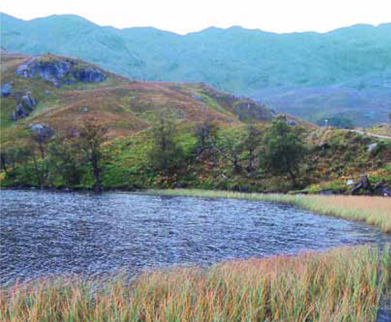 How To Fish The Loch Style Method