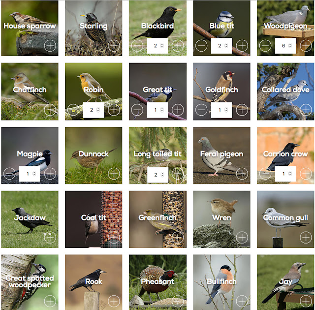 Wild and Wonderful: RSPB Big Garden Birdwatch 2017