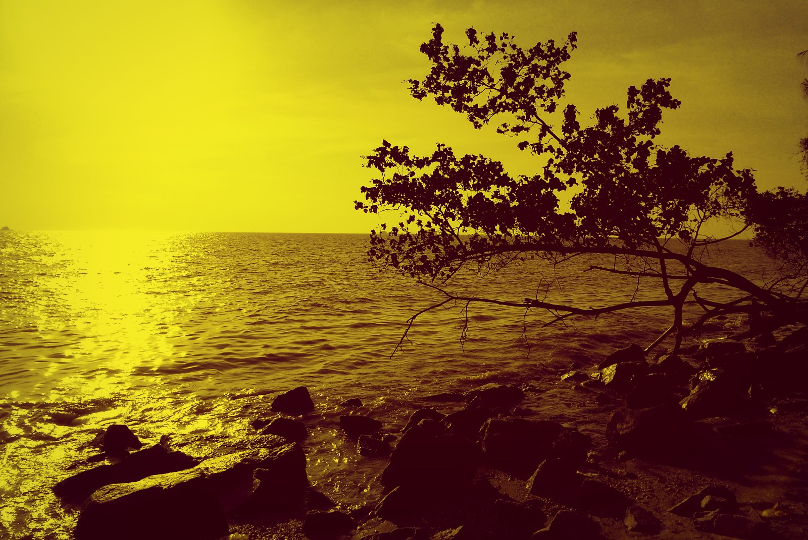 Eksplorasi - Pantai Remis di Jeram, Kuala Selangor - Relaks Minda