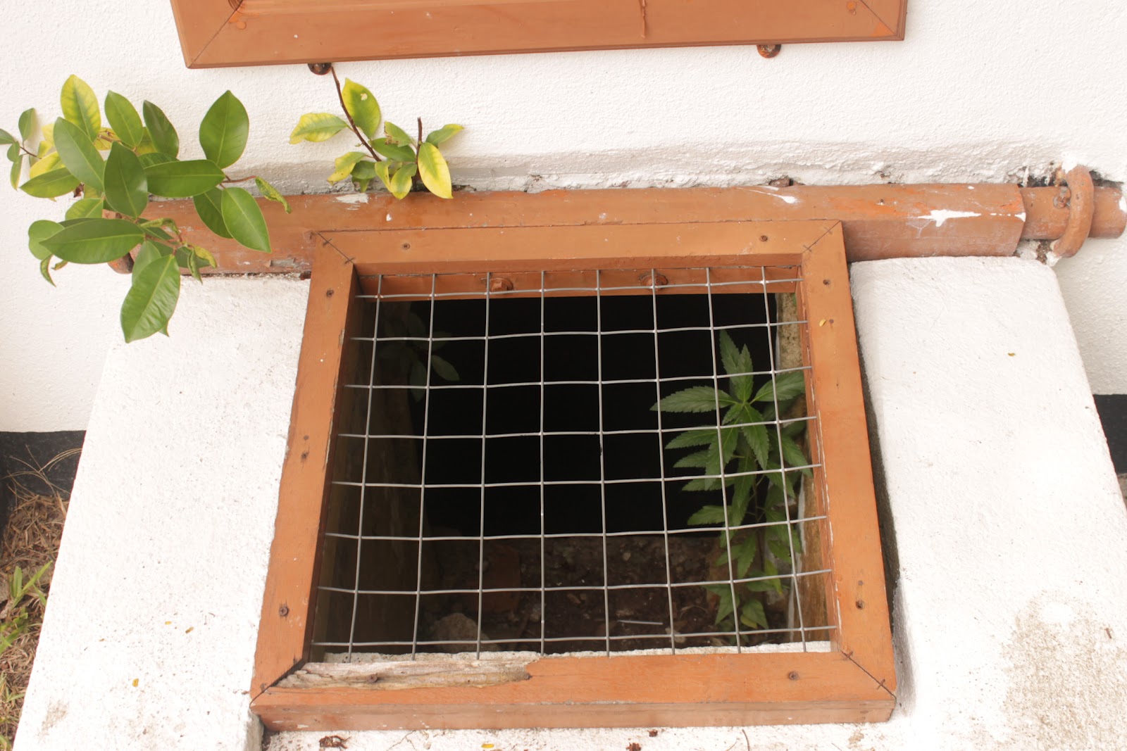 Sang Ekstasi: Bukit Puteri, Kuala Terengganu