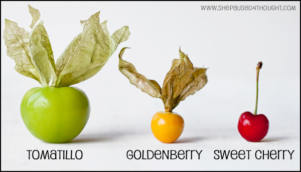 Seattle Garden & Fruit Adventures: What's a Golden Berry?