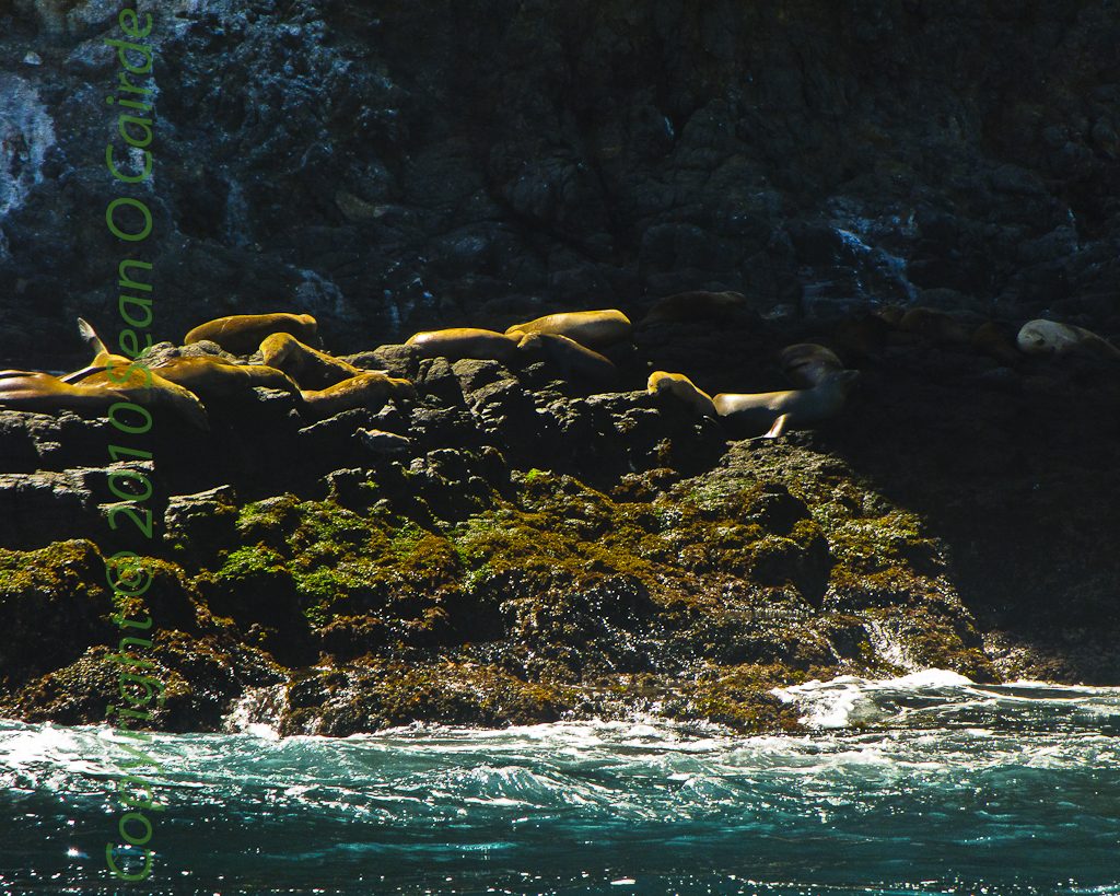 California's Majestic Lighthouse's: Anacapa