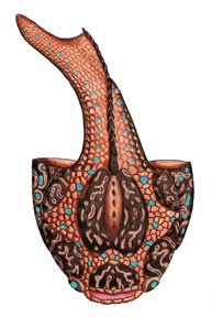 Notes from the Paleozoic: The Age of Fishes Part 1.