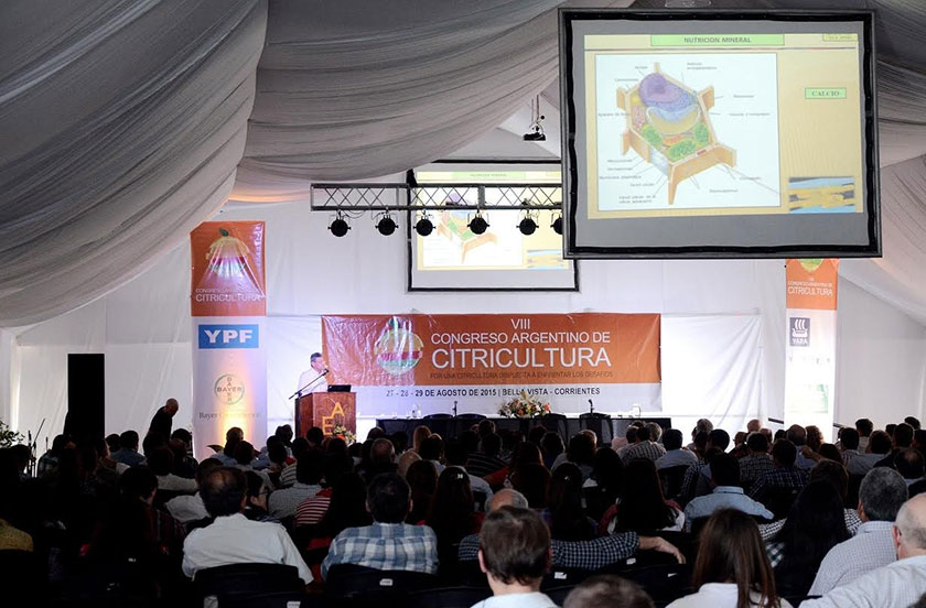ASOCIACION ECOLOGISTA RIO MOCORETA: CONGRESO DE CITRICULTURA EN ARGENTINA