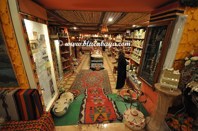 Mom's Adventures in the Magic Kingdom - Blue Abaya