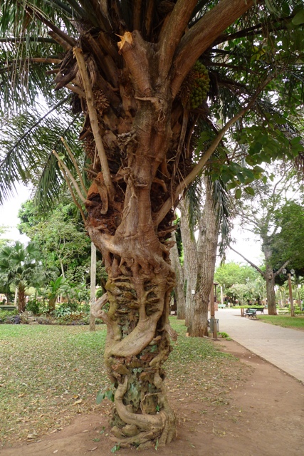 SANTA CRUZ LA BELLA: BOLIVIA ES TURISMO E HISTORIA: Santa Cruz de la ...