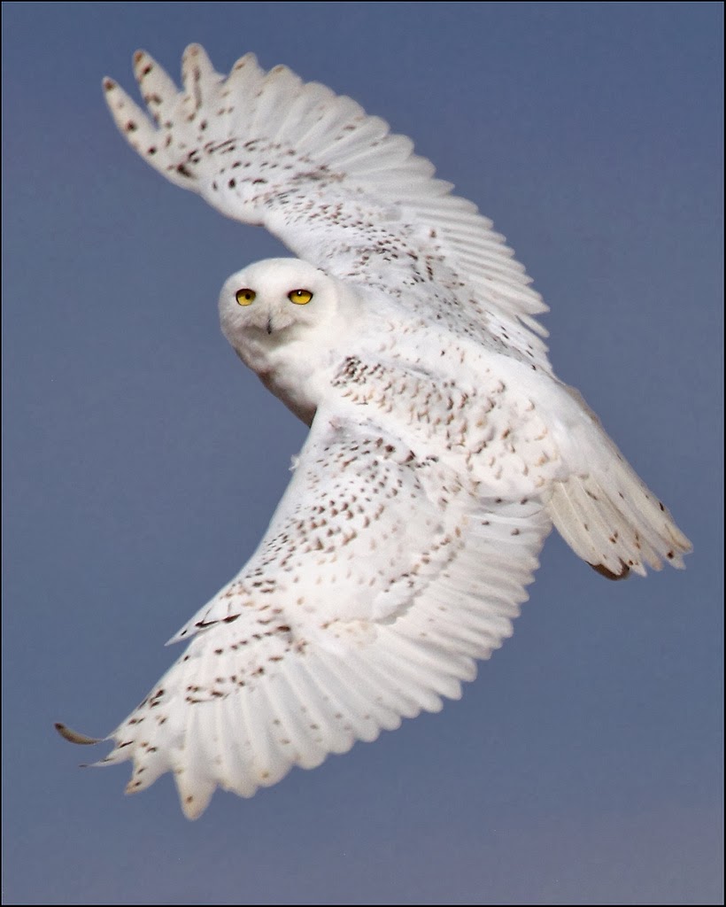 School Of Digital Photography: Getting Exposures right while ...