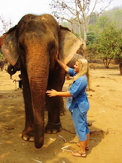 Wander: Bungee Jumping and a day with the Elephants!
