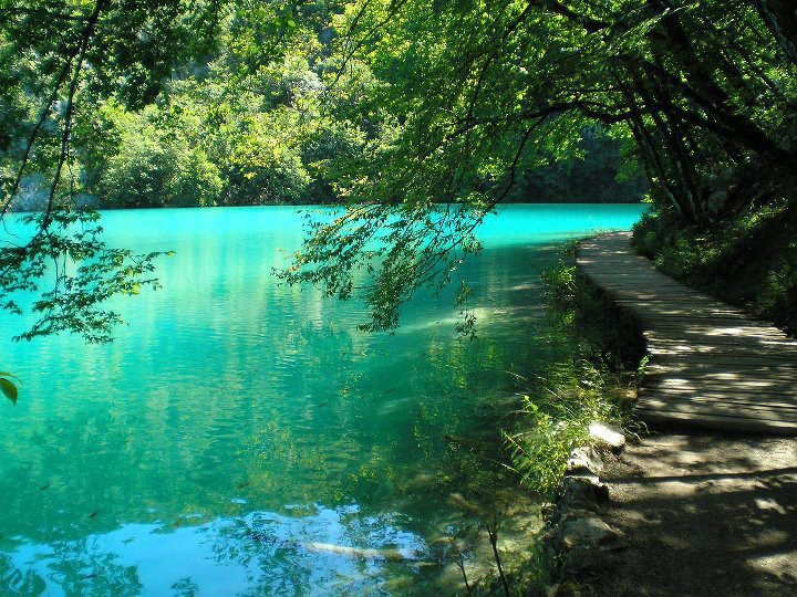 Aprendiz On Line: O RIO E O OCEANO