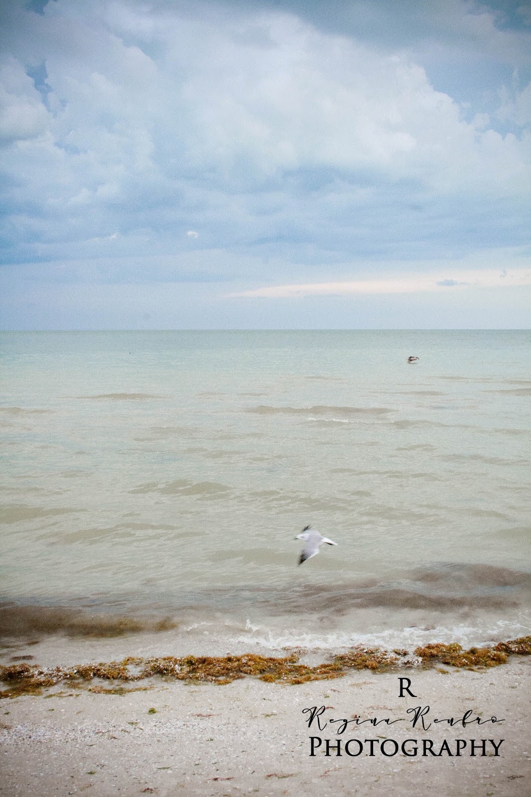 Here is Regina: Fascination with the Beach