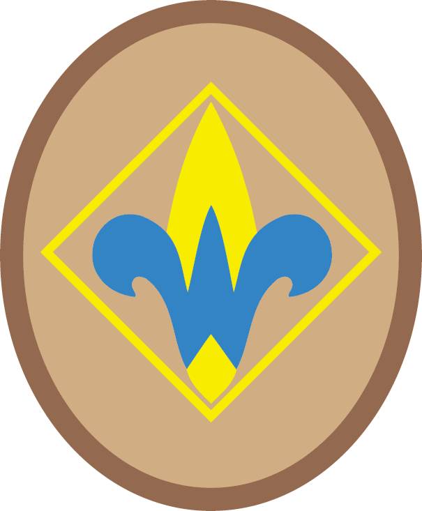 Cub Scout Pack 1910, Keller, TX: Webelos 1 and AOL