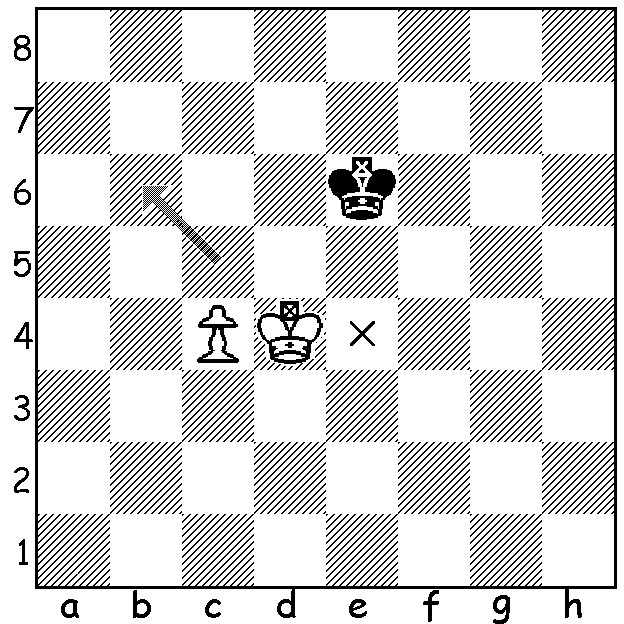 For Chess Amateur: End Game Study