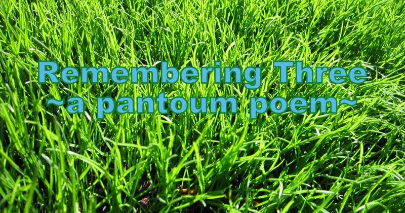 Thoughts from a Daughter of the King : Remembering Three ~ How to Write ...