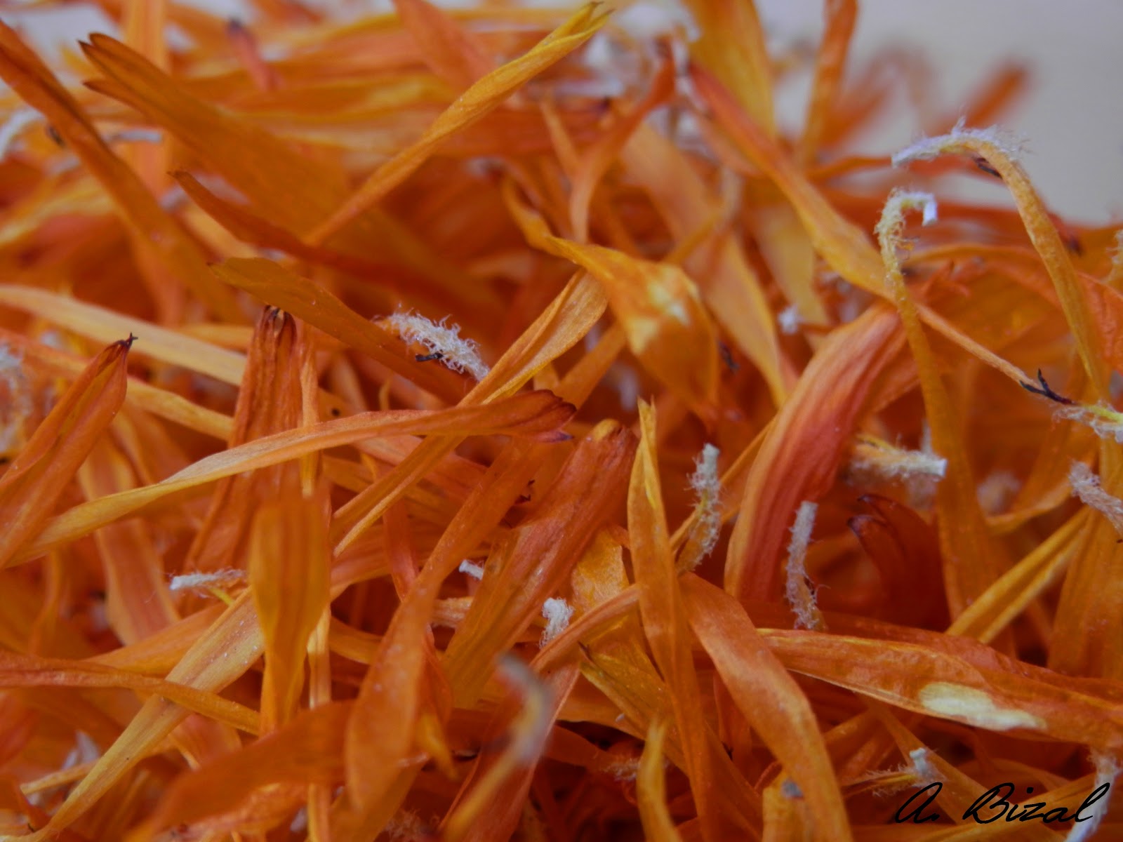 Macro fotography - everyday objects