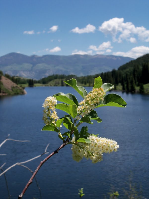 Trail and Park Reviews: Lower Cataract Lake Loop/Creek, North of ...