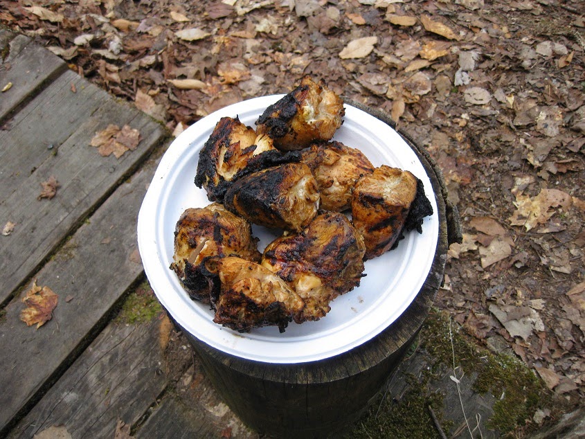 Chad's Grilled Marinated Chicken (Gluten Free) | Our RV Life