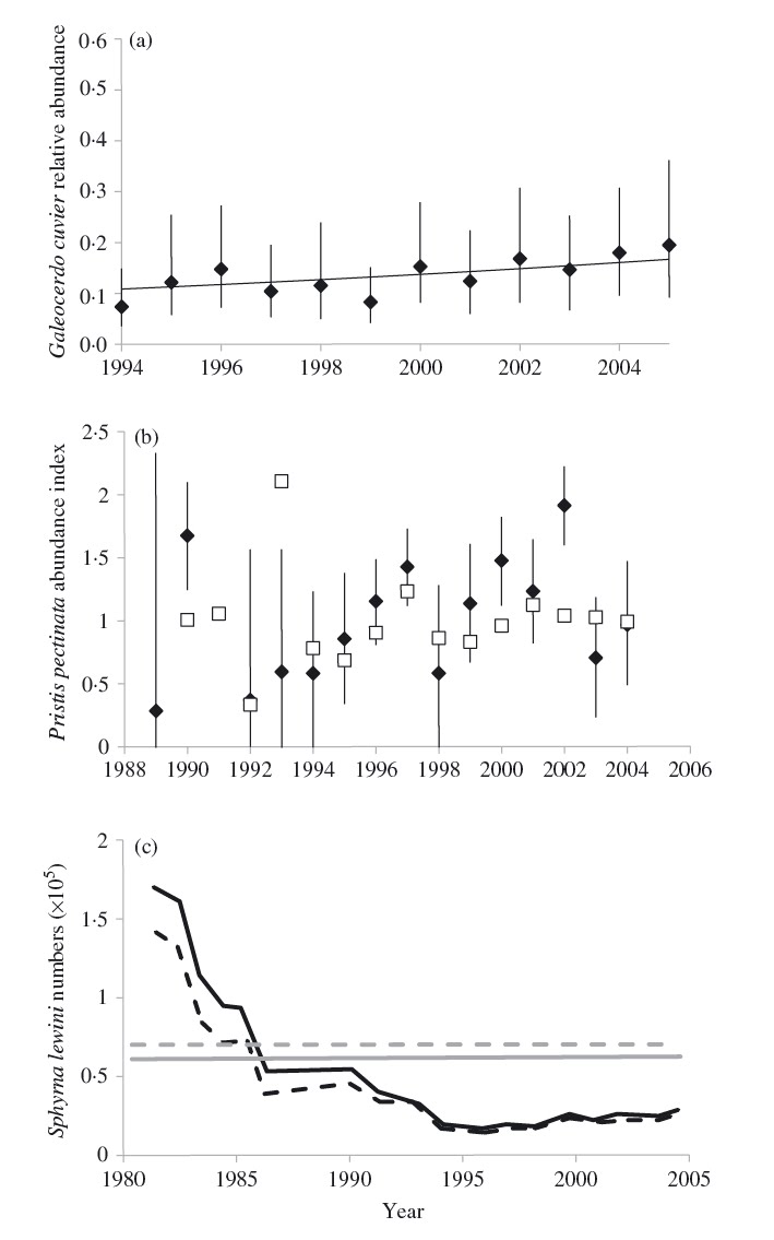 The Best Shark Dive In The World Shark Populations Rate Of Decline Rebound Potential And