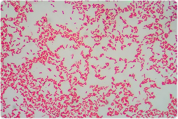 Makalah Etika Profesi Analis Kesehatan Yazhid Blog