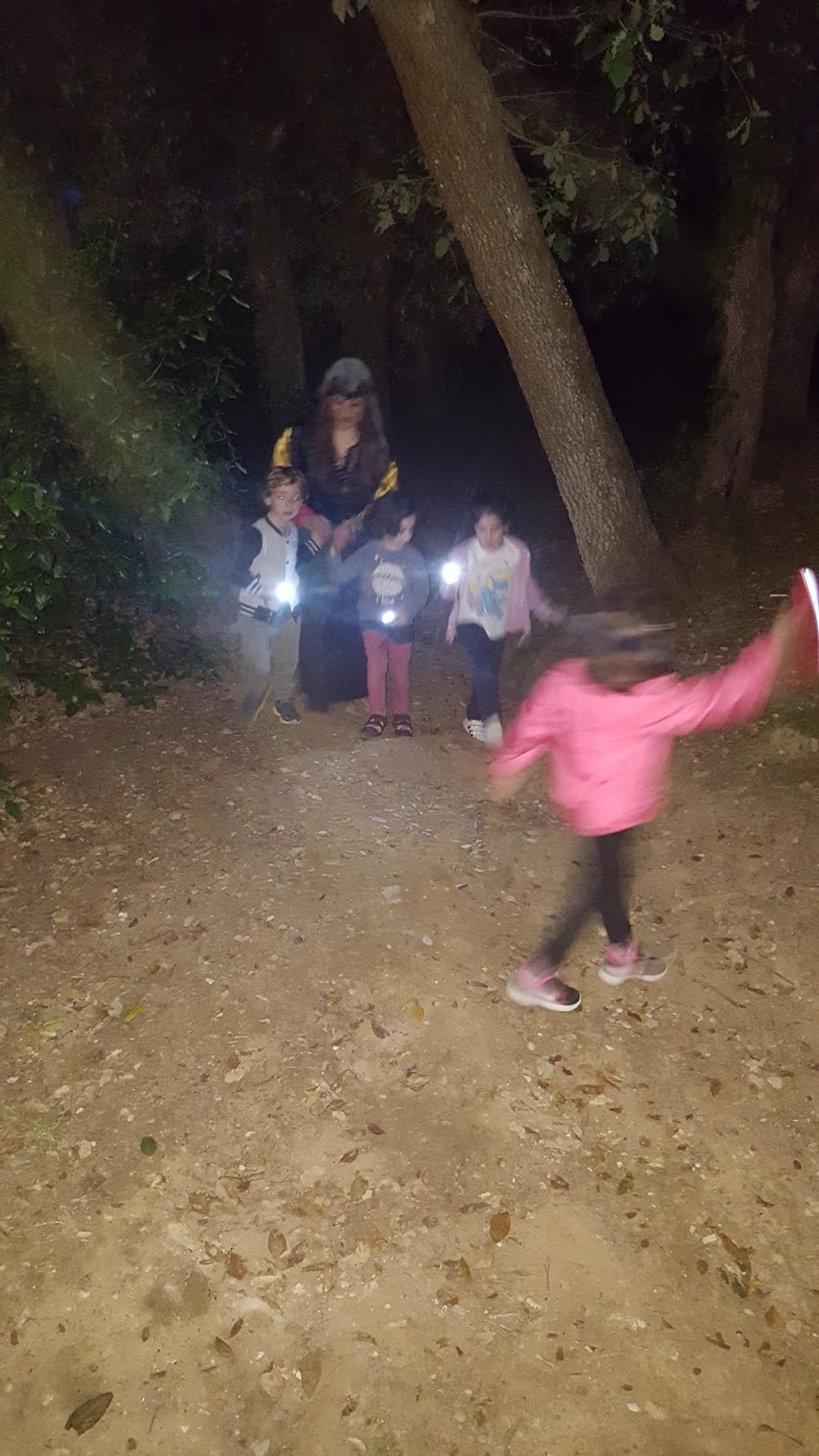 Colònies de l'Escola del Sol: Joc de nit