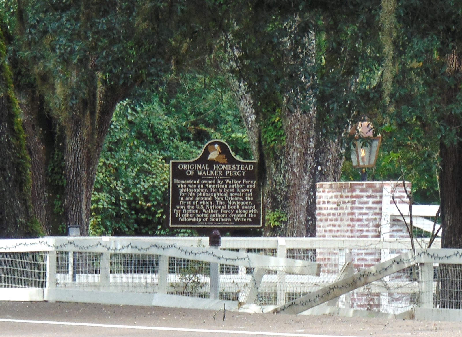 Tammany Family: An Interview With Walker Percy - 1975