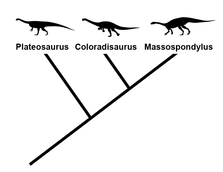 Mens sana, in Coloradisaurus sano | Dinosaurios (El Cuaderno de Godzillin)