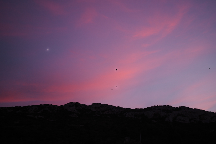 (PO)CITY | world needs blondes