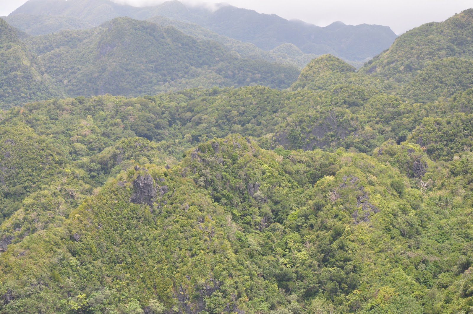 Ranger Cabunzky's Blog: Gota Beach, Caramoan