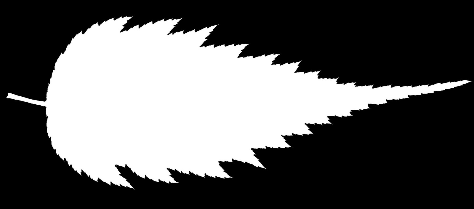 HIGH RESOLUTION TEXTURES: Leaf Textures