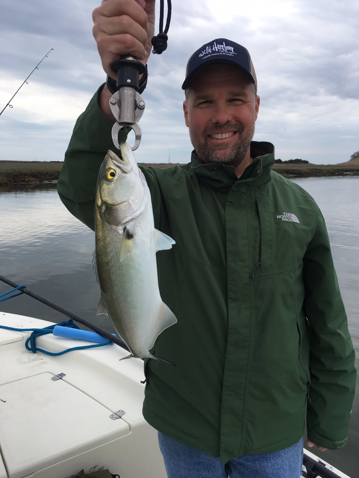 Jersey Cape Guide Service: Bluefish