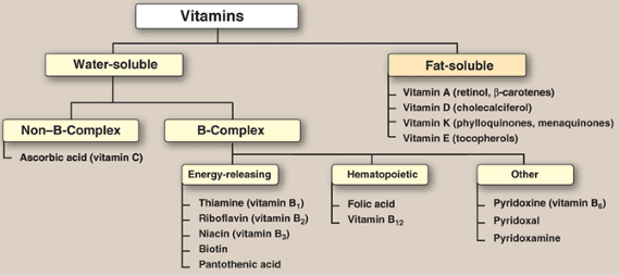 Vitamins-Functions, Types, Characteristics, Chemical Name, Uses and ...